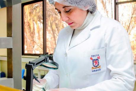 Desafíos CECTA 2022: mantener la acreditación de calidad de servicios y ...